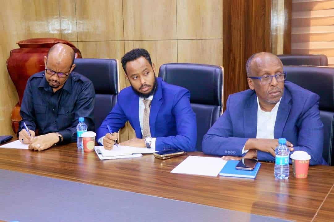 Director General of Somalia's immigration agency resigns amid ...